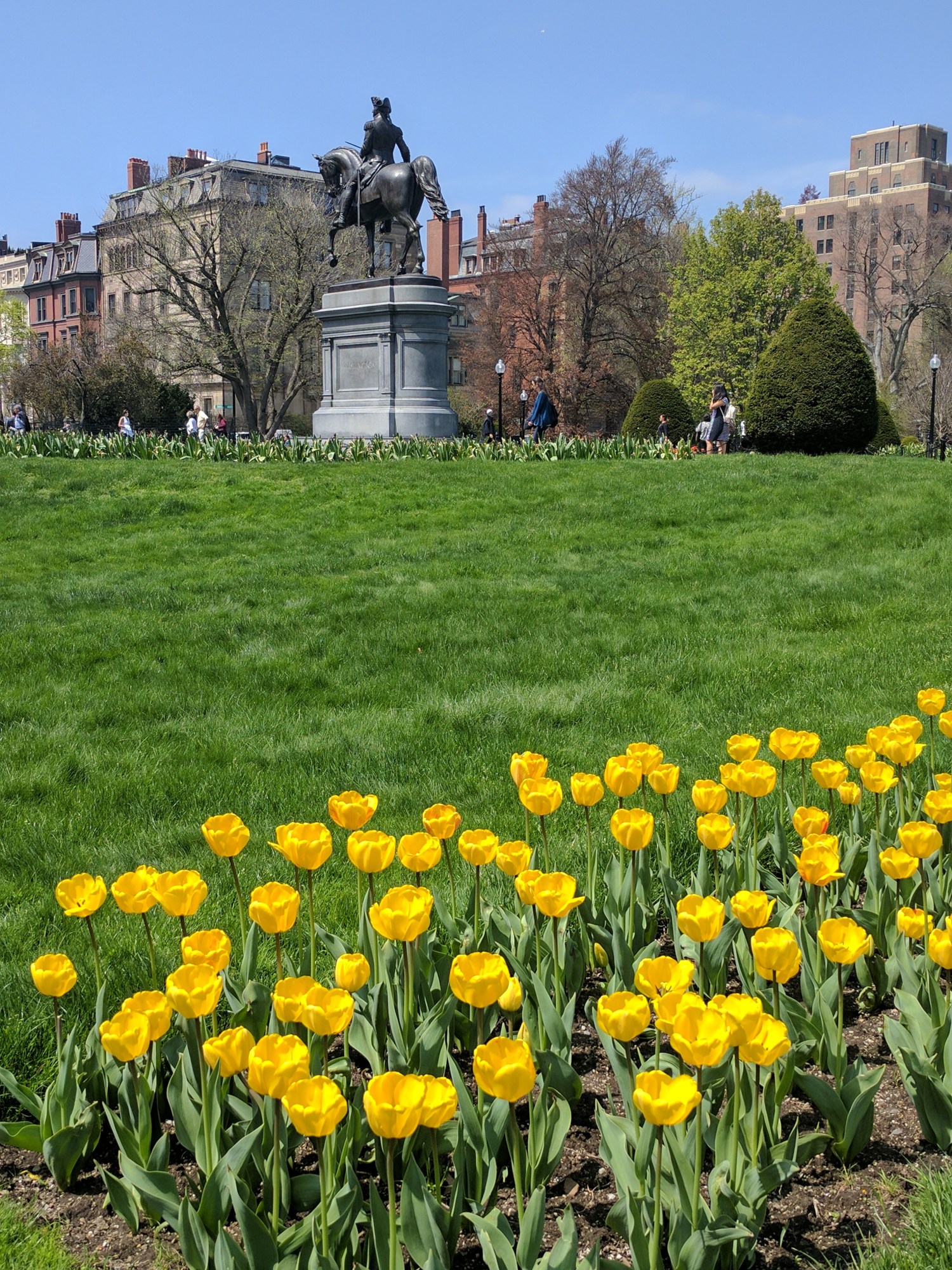 Make Way for the Boston Public Garden – Beyond The Miles Travel Blog