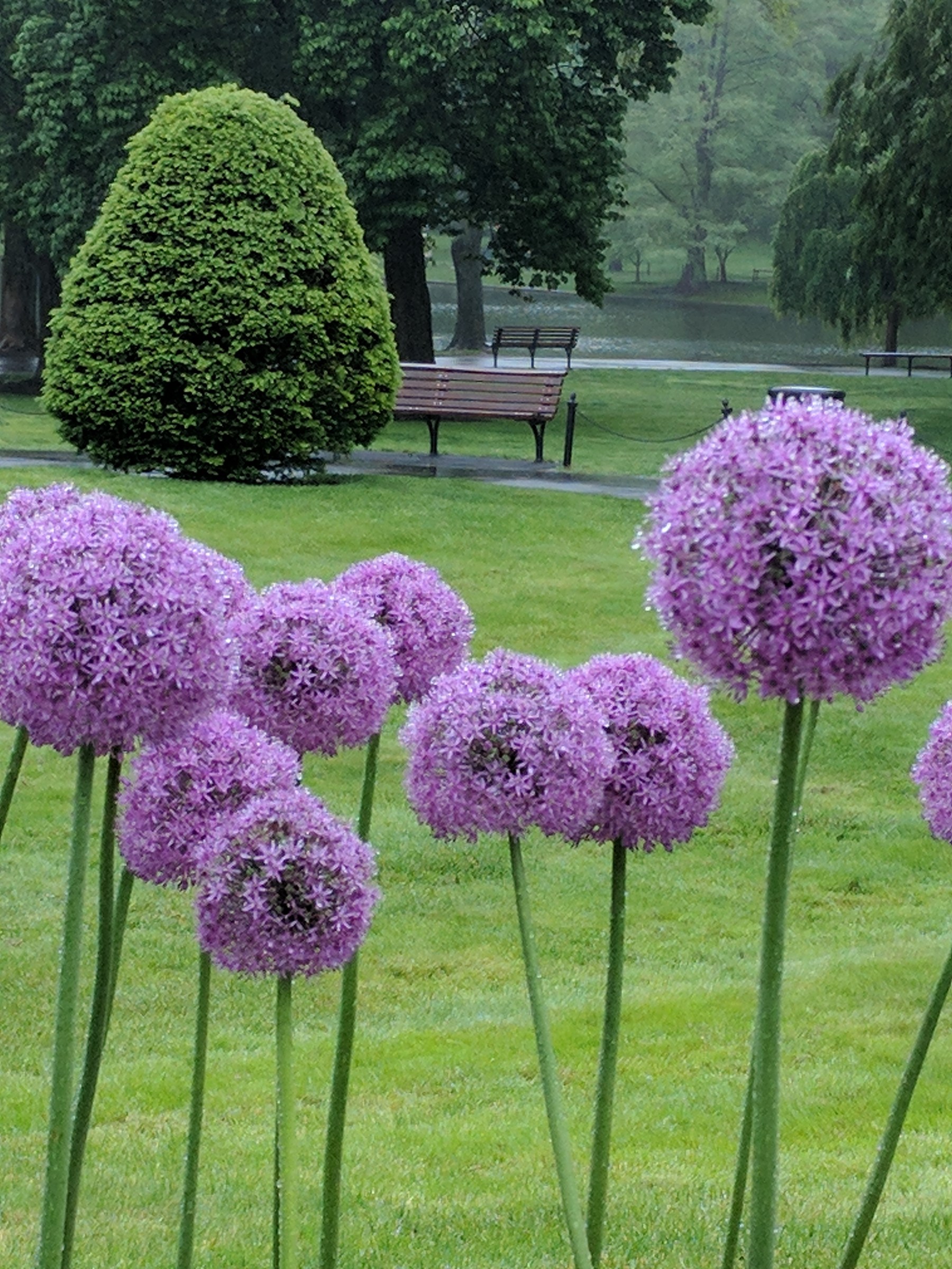 Make Way for the Boston Public Garden – Beyond The Miles Travel Blog