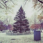 Boston Holiday Favorites – Beyond The Miles Travel Blog