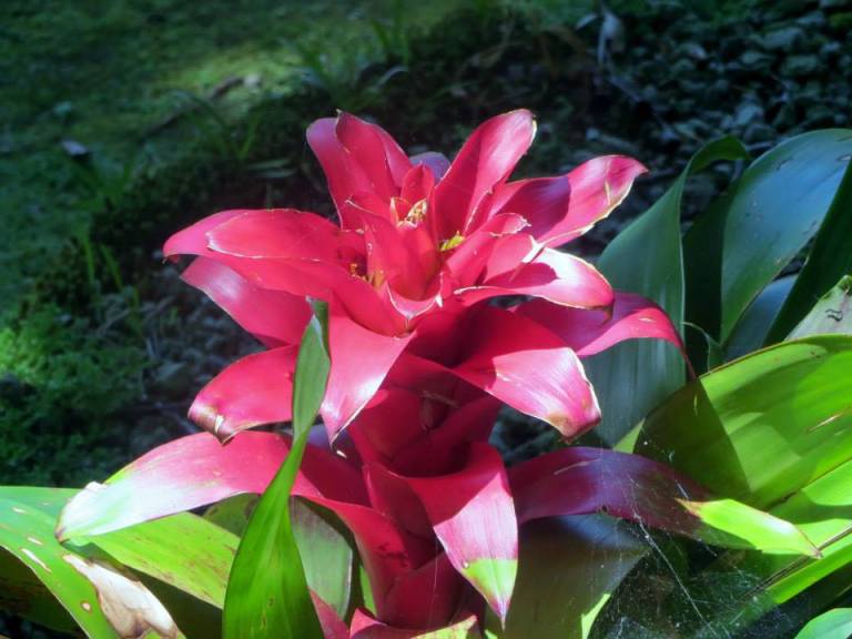 Discover The Azores – Sao Miguel Itinerary – Beyond The Miles Travel Blog