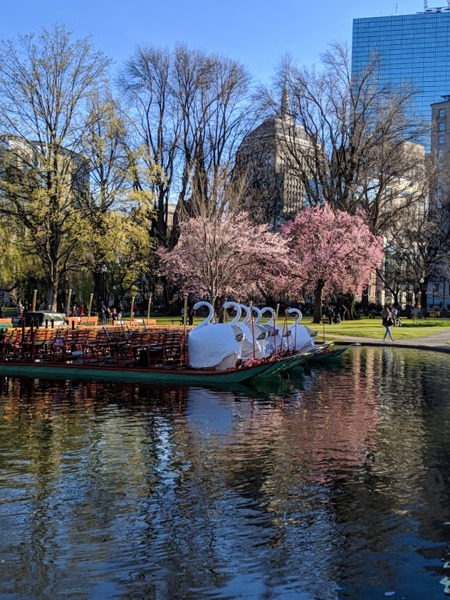 10 Great Ways to Enjoy Spring In Boston – Beyond The Miles Travel Blog