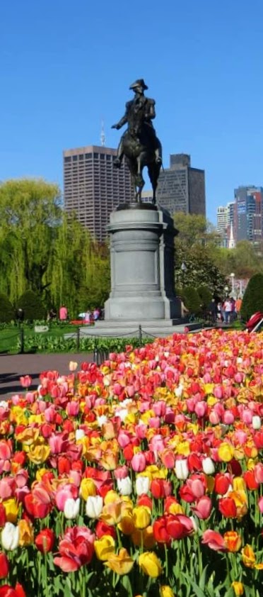 10 Great Ways to Enjoy Spring In Boston – Beyond The Miles Travel Blog