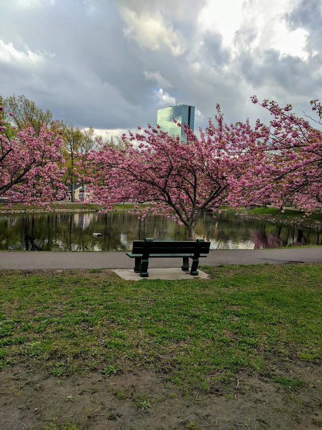 10 Great Ways to Enjoy Spring In Boston – Beyond The Miles Travel Blog