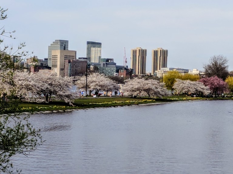 10 Great Ways to Enjoy Spring In Boston – Beyond The Miles Travel Blog