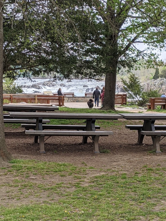 Great Falls Park – The Must See Waterfall Near Washington DC – Beyond ...