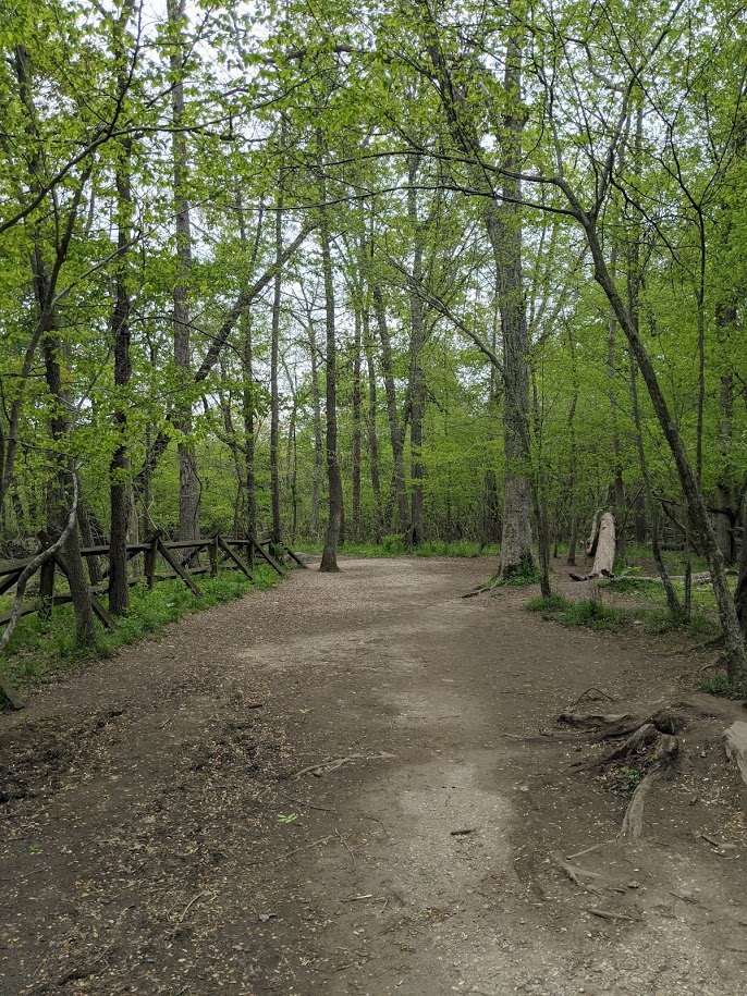 Great Falls Park – The Must See Waterfall Near Washington DC – Beyond ...